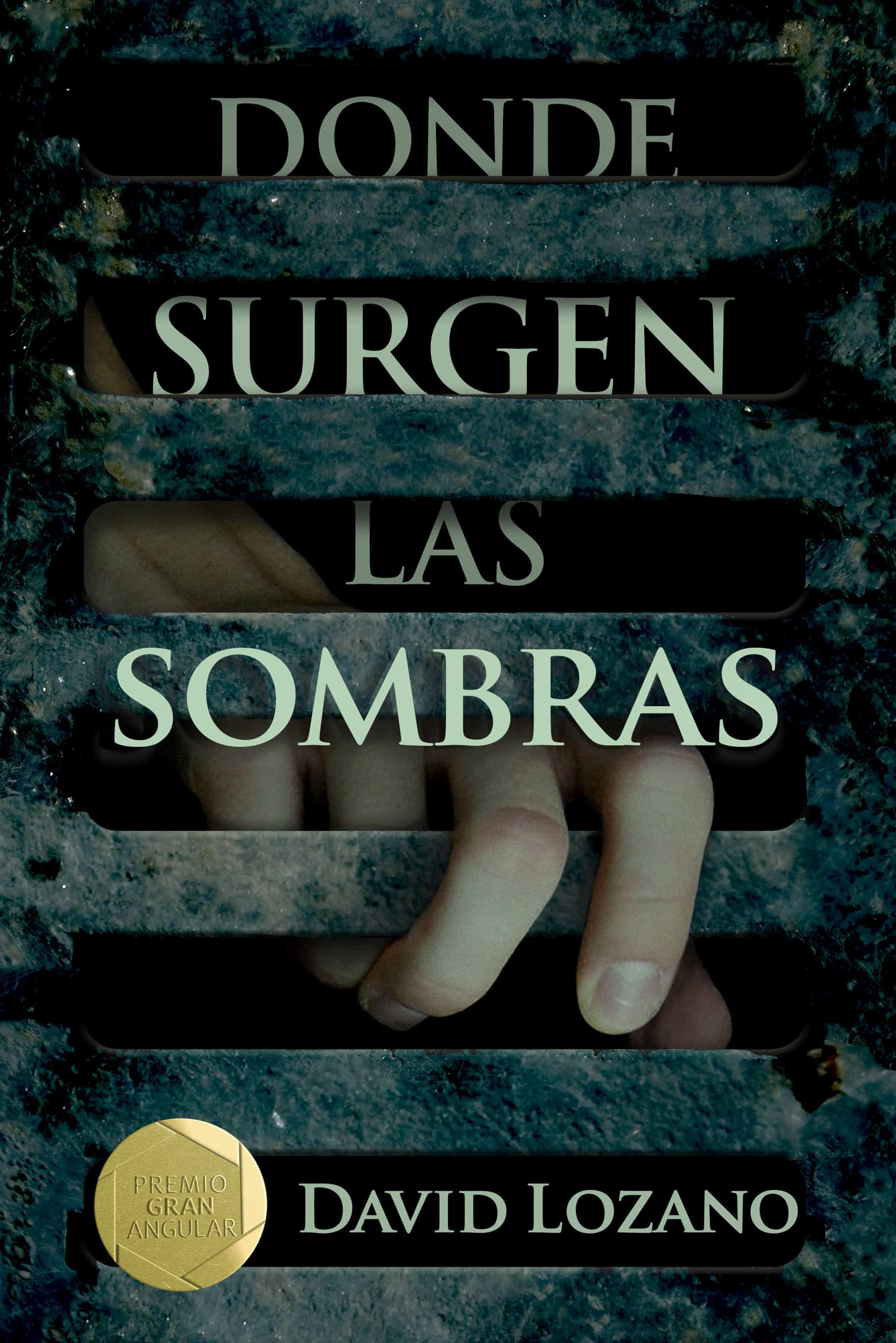 DONDE SURGEN LAS SOMBRAS | DAVID LOZANO GARBALA | Comprar libro ...