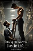 A NOT QUIET NORMAL DAY IN LIFE: GAY ROMANCE | Casa del Libro